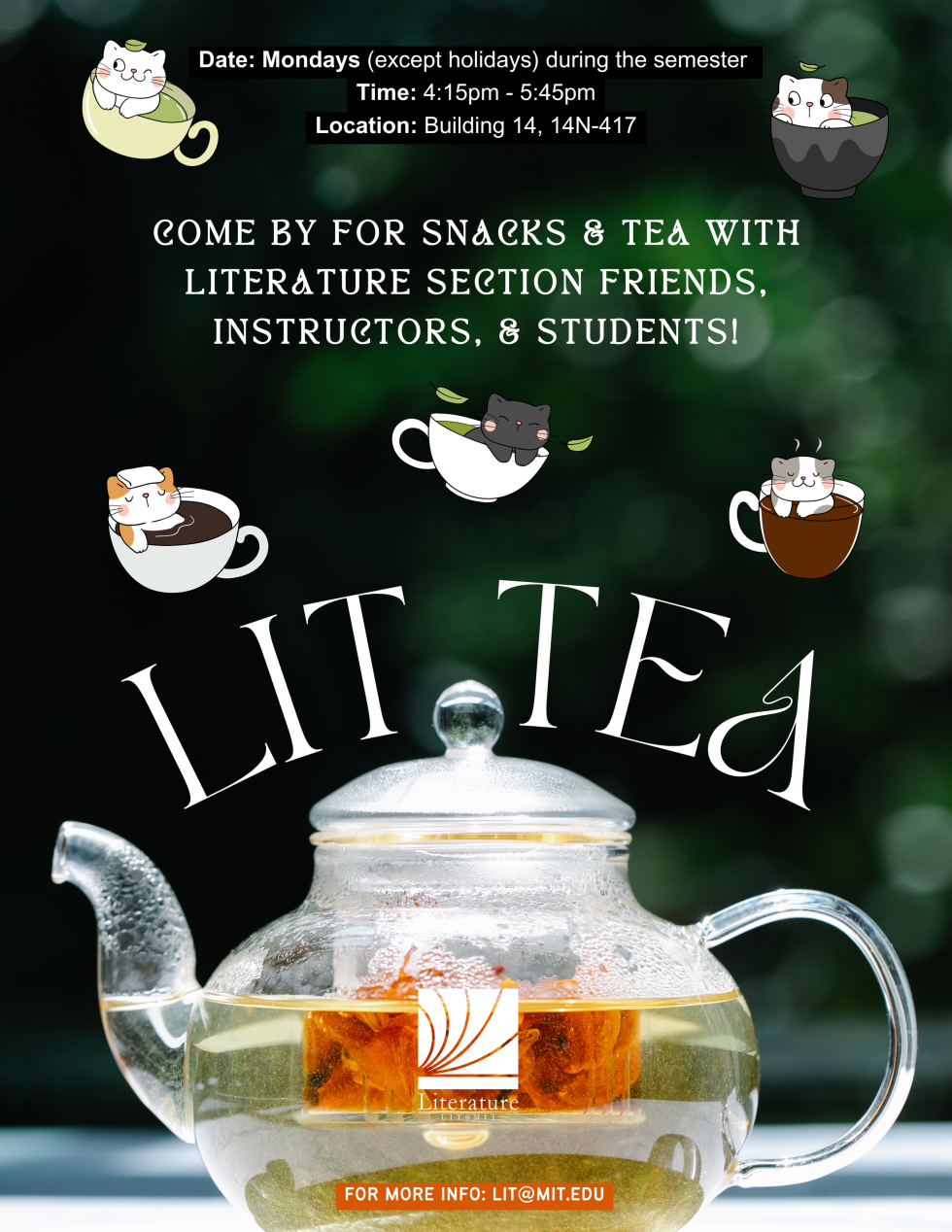 LIT@MIT | LITERATURE AT MIT